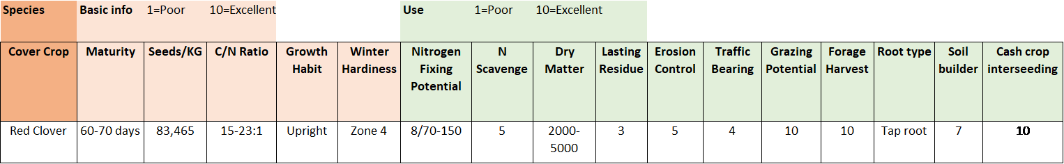 Red clover cover crop values – Symbiosis Agriculture